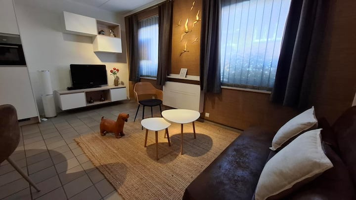 Nouvel Appartement Près De La Citadelle à Liège - Seraing