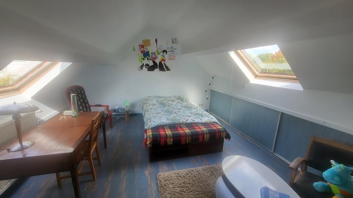 Chambre Molène Chez Eric&christine - Saint-Sylvain-d'Anjou