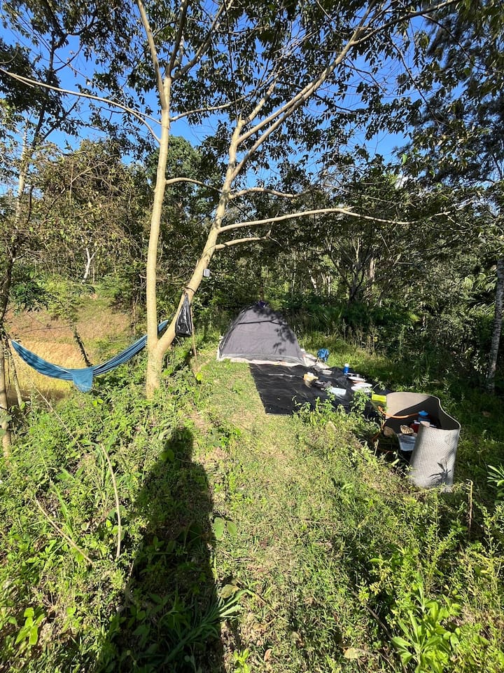 Nature-soaked Camp By A Private Lake - Mudigere