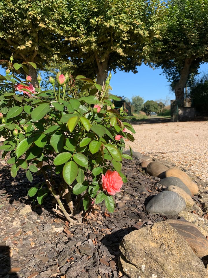 Maison De « Famille » Dans Un Cadre Champêtre. - Gers