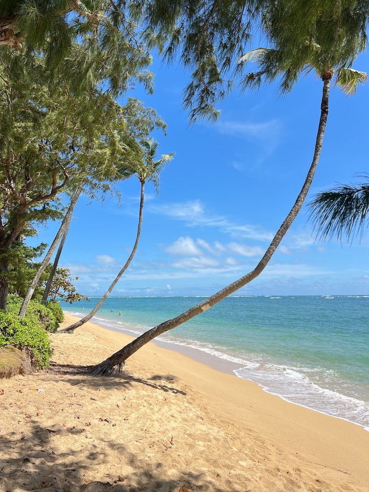 North Shore Beachfront Studio - Laie, HI