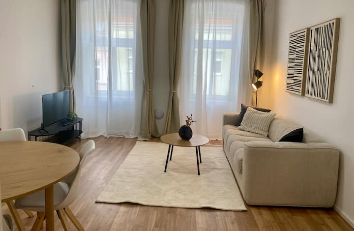 Spacious City Apartment - Viena