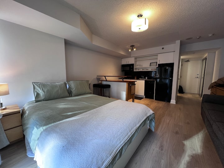 Entire Studio With Kitchen On Yonge & Dundas In Dt - Toronto