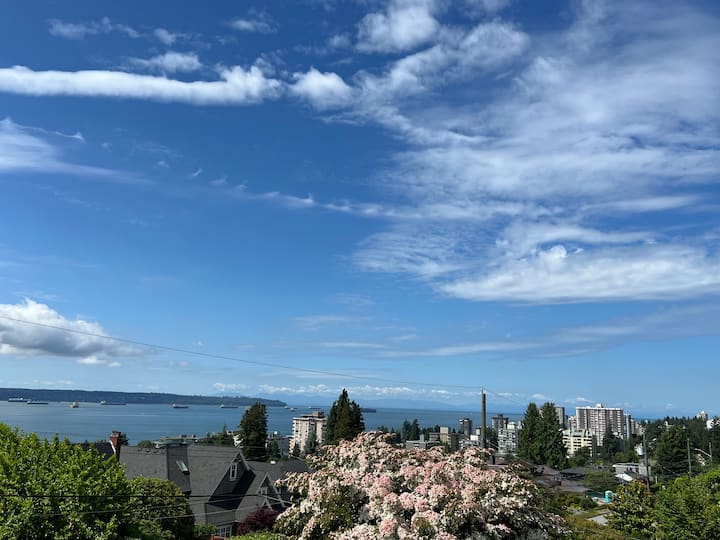 Fantastic Ocean View Home Near Beach Mall Downtown - Chypre