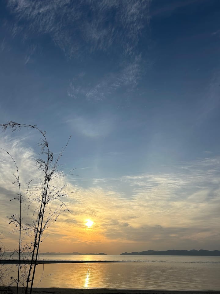 Beach And Beeyond,  Where Paradise Meets Purpose - 