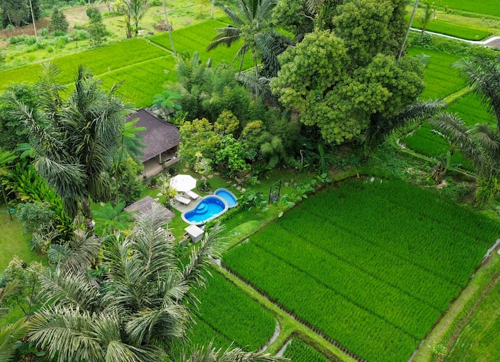 Peaceful Private Pool Villa With Ricefield View - Bali