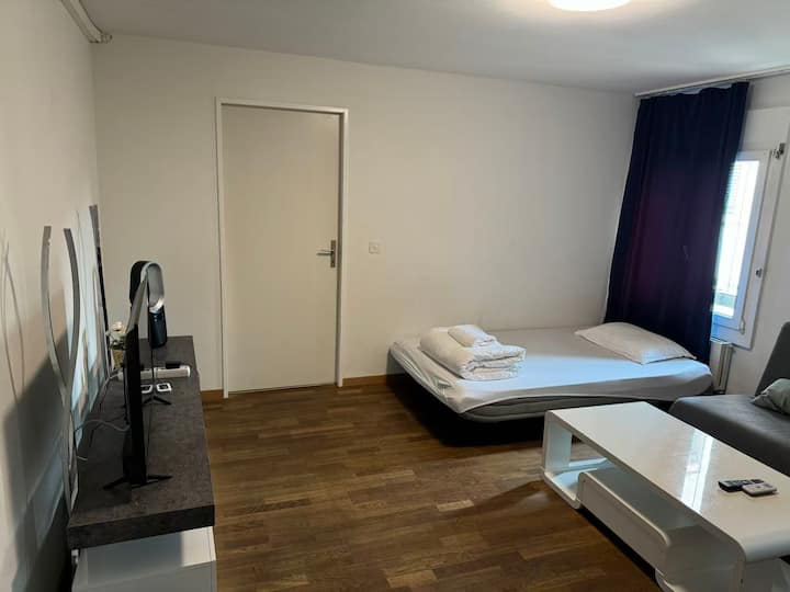 Family Apt Near Zurich Main Station/old Town - Zürich