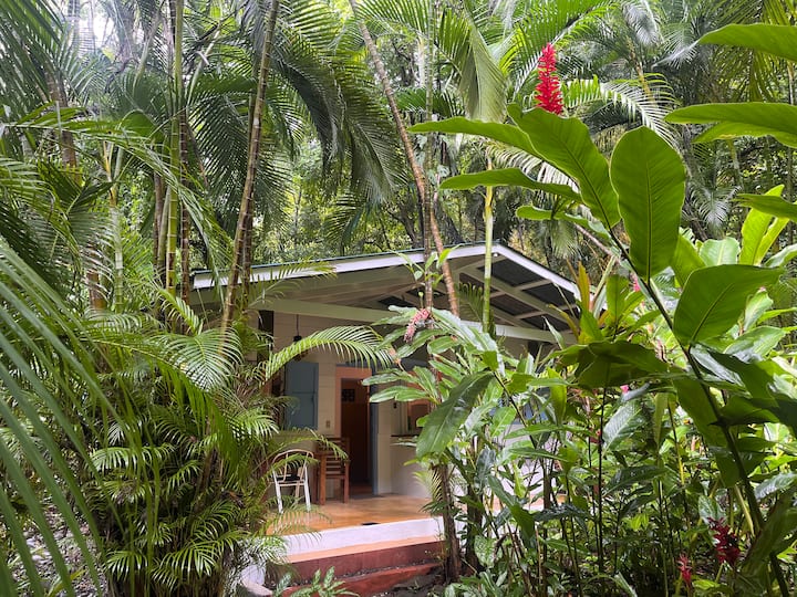 “Los Cedros” - Casita Sol - Costa Rica