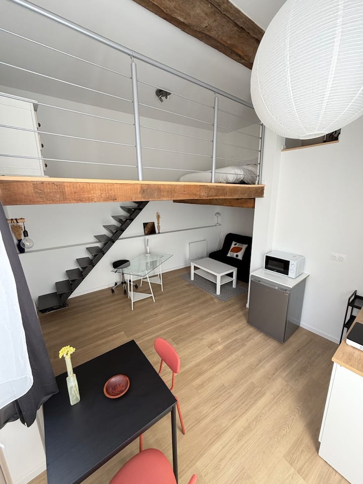 Loft Lumineux Avec Mezzanine - Tonnerre