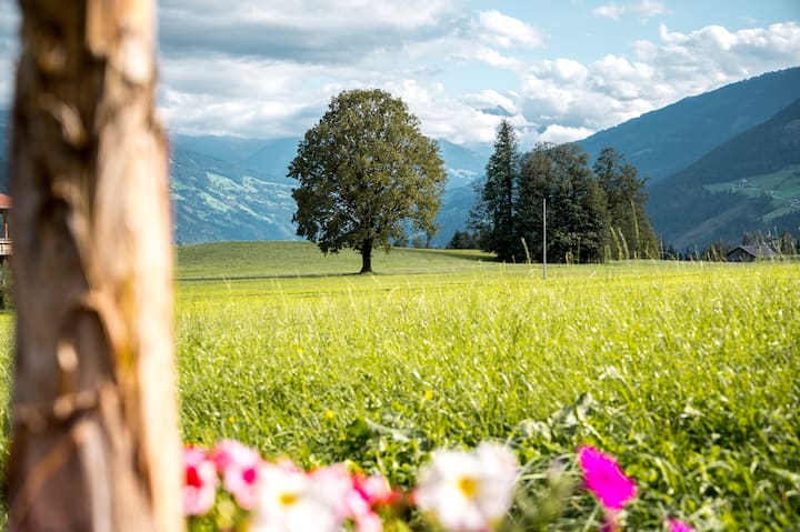 A Schön’s Platzerl - Apartment Argus - Ried im Zillertal