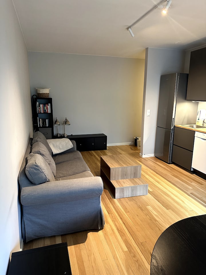 Fin Leilighet På Frogner I Oslo - Oslo