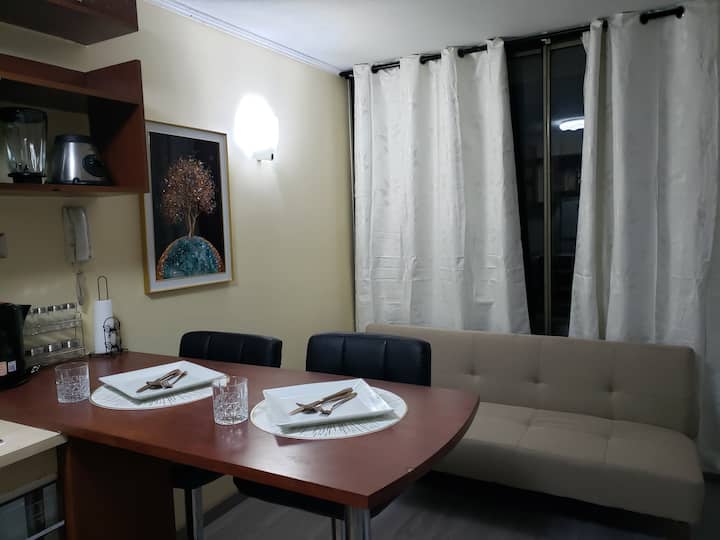 Departamento Santiago Centro Con Balcon /Santa Ana - Santiago