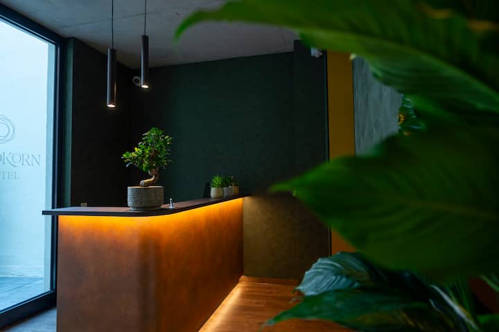Hotel Sandkorn - Apartment 3 (Altstadt Nürnberg) - Núremberg
