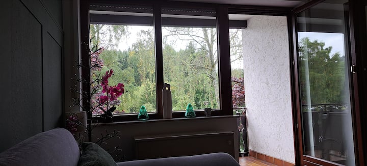 Gemütliche Ferienwohnung In Ruhewald - Winterberg