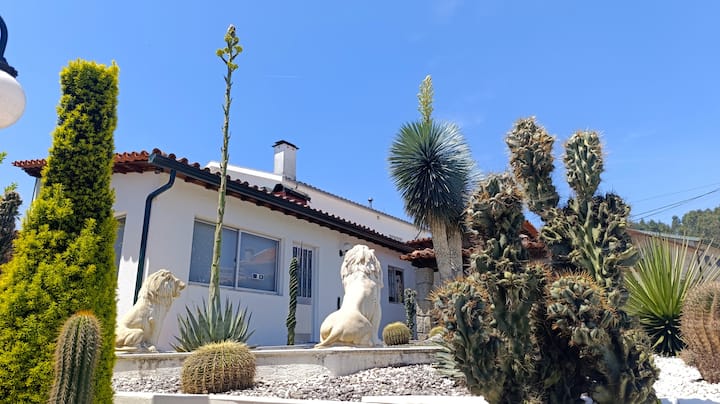 Orion Guesthouse Lsd - Lousada