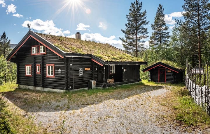 Stor, Koselig Hytte I Hemsedal - Norway