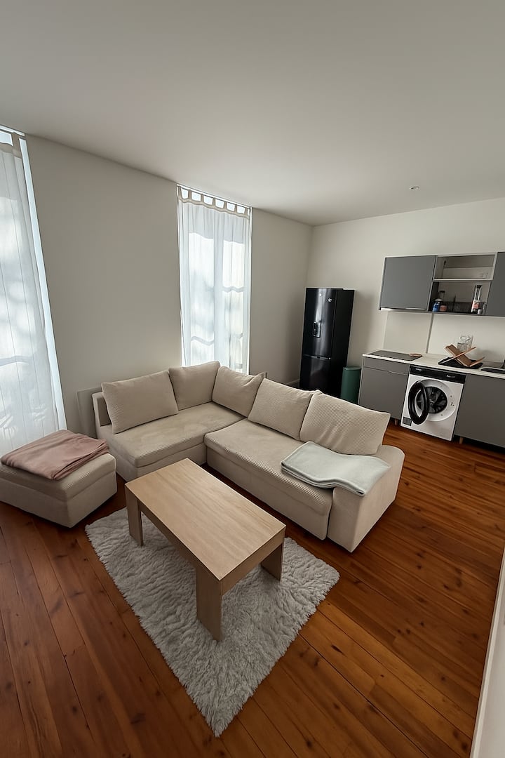 Appartement Centre Ville De Pau - Pau