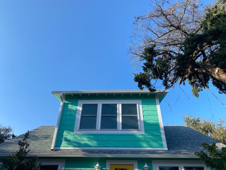 Shell Yay! - Ocracoke, NC