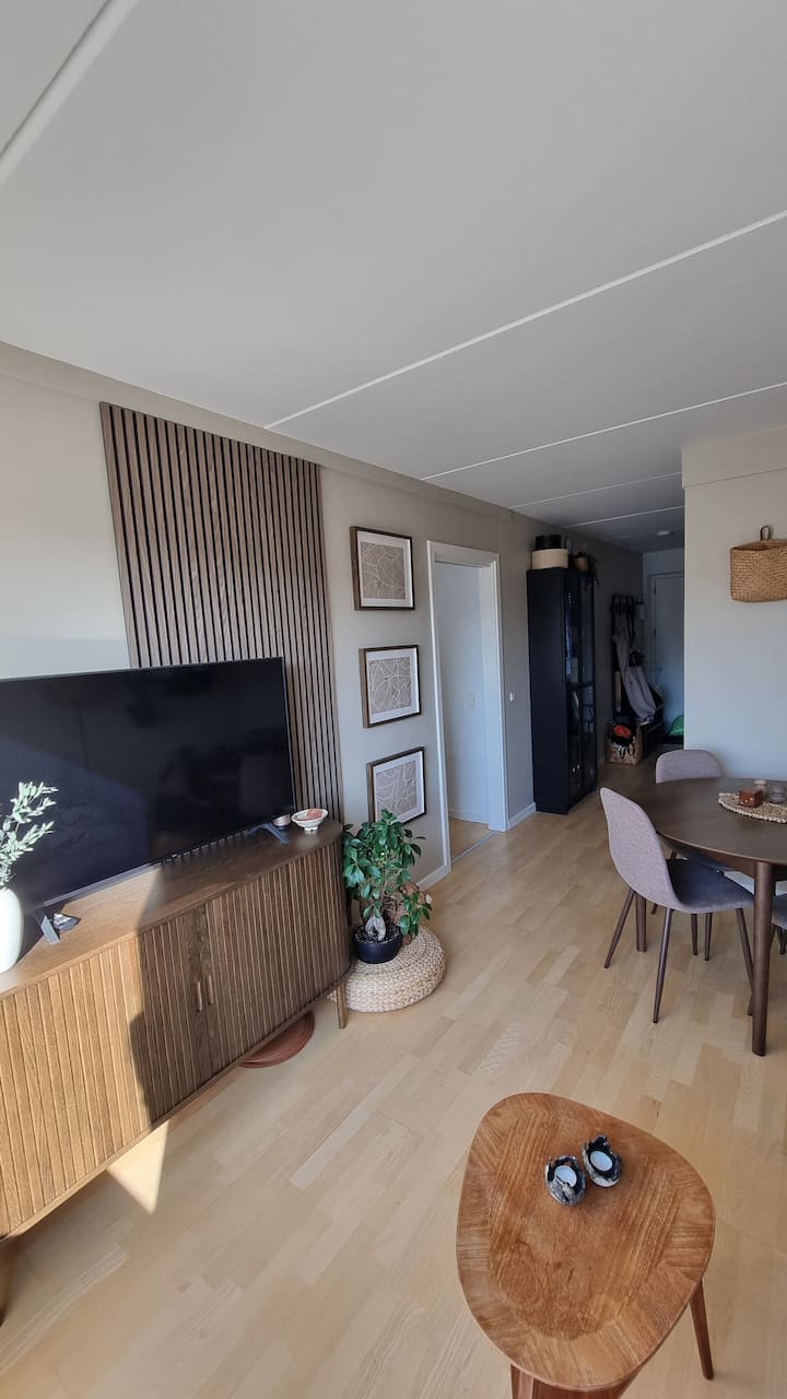 Nice Apartment In Odense, 10 Min Walk To Station. - Odense