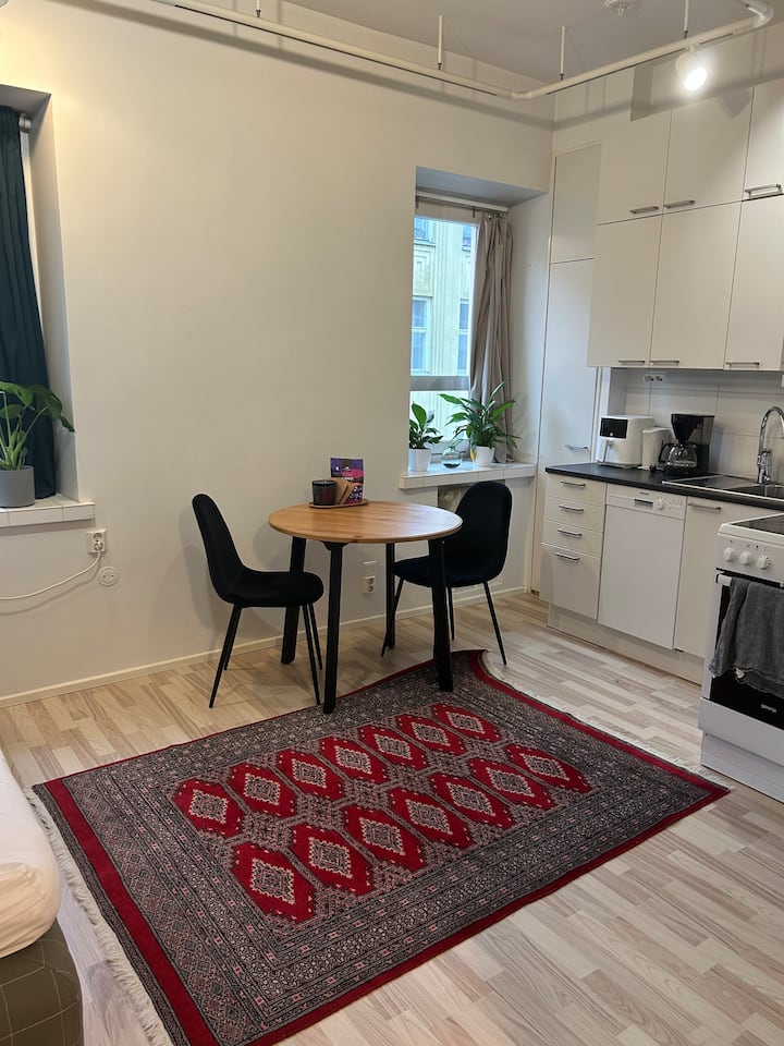 Viihtyisä Yksiö Helsingin Sydämessä - Helsinki