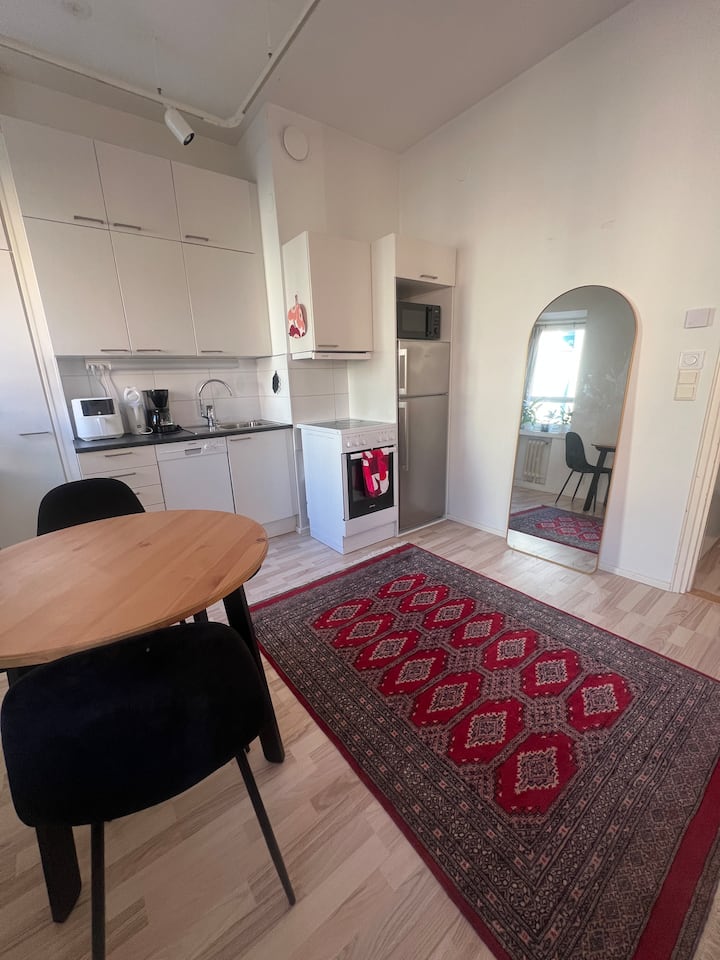 Viihtyisä Yksiö Helsingin Sydämessä - Helsinki