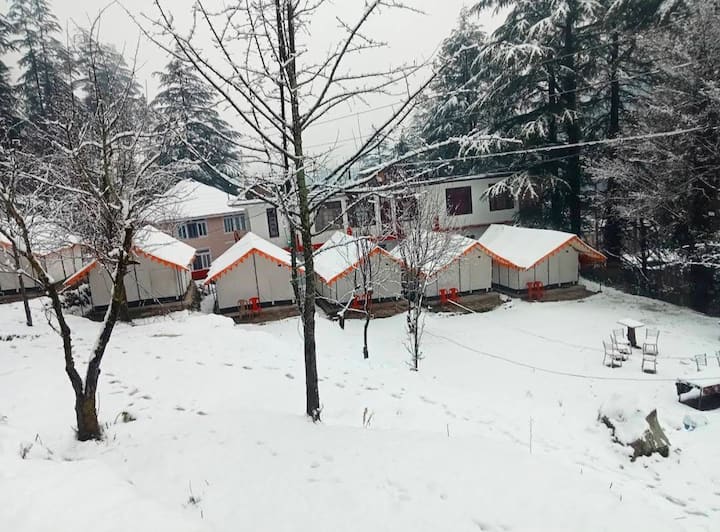 Kasol Paradise - Kasol