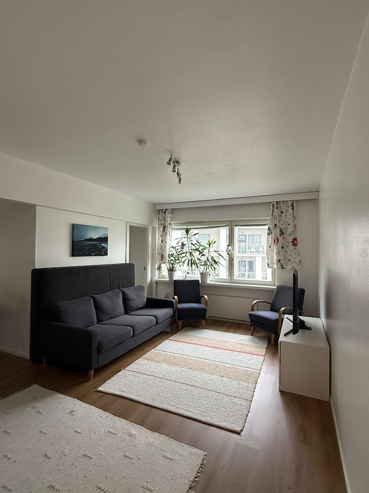 Spacious Apartment At The Rovaniemi City Center. - Rovaniemi