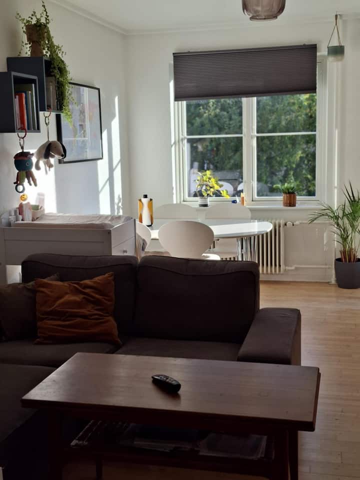 Fin 2 Værelses Lejlighed Med Altan - Copenhague