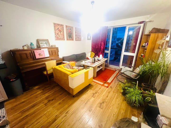 T3 Meublé 55 M² – 2 Balcons + Parking – Lyon 9e - Lyon