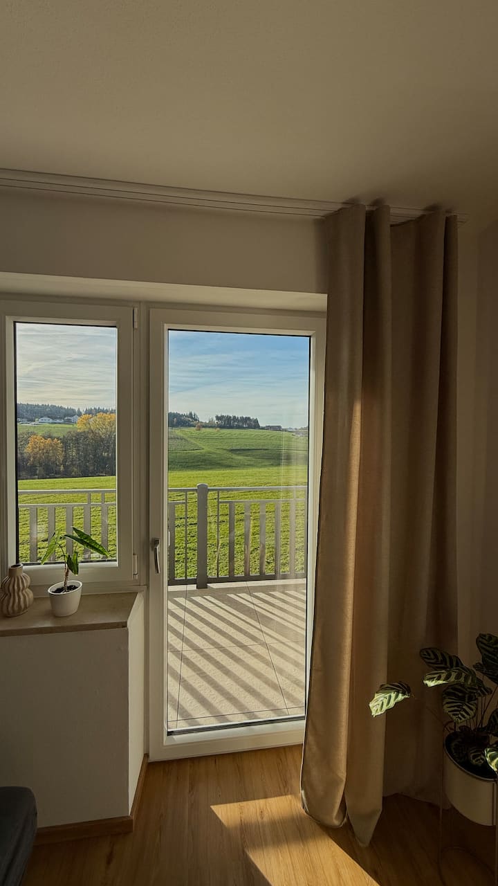 Nature & City - Passau