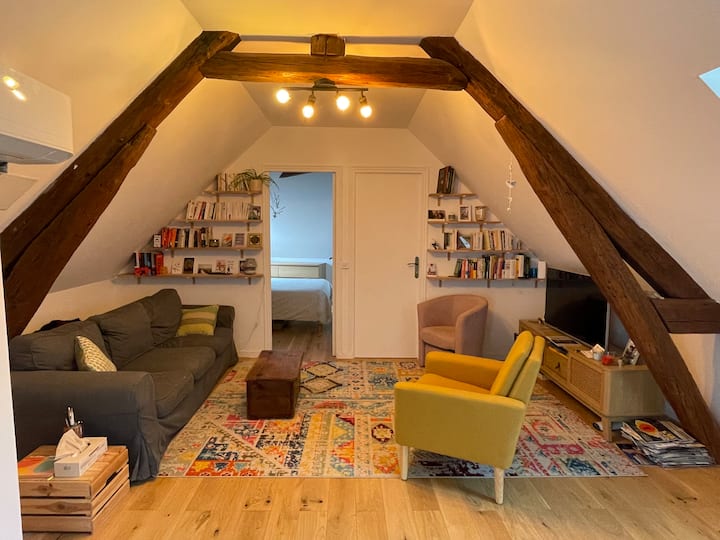 Appartement Sous Les Toits Pontoisiens - Pontoise
