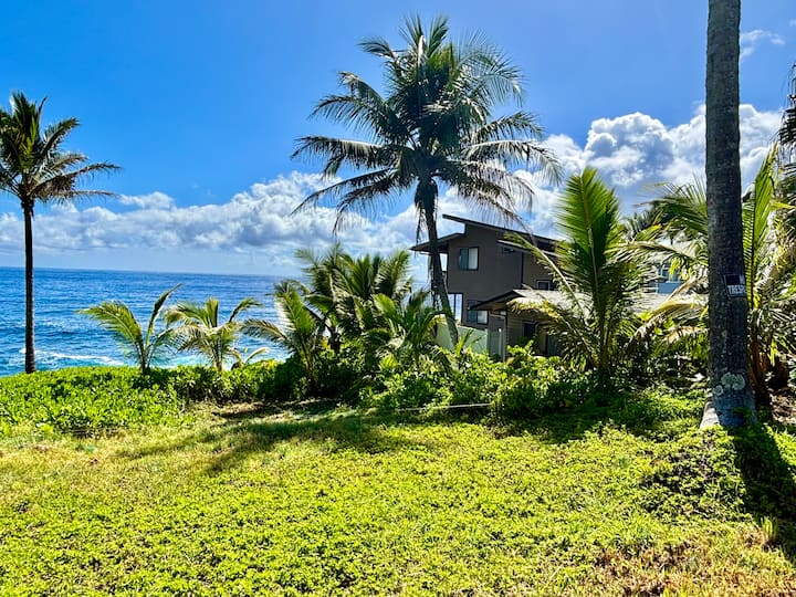 Kai Honu Hale: Newly Renovated Oceanfront Home. - Pahoa, HI