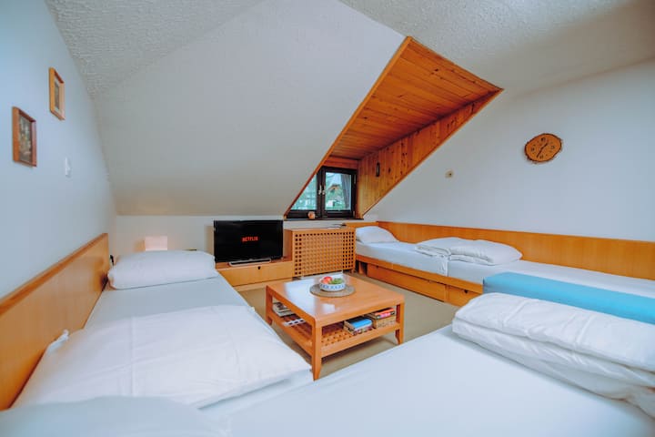 Bright And Authentic Alpine Apartment With Parking - Kranjska Gora