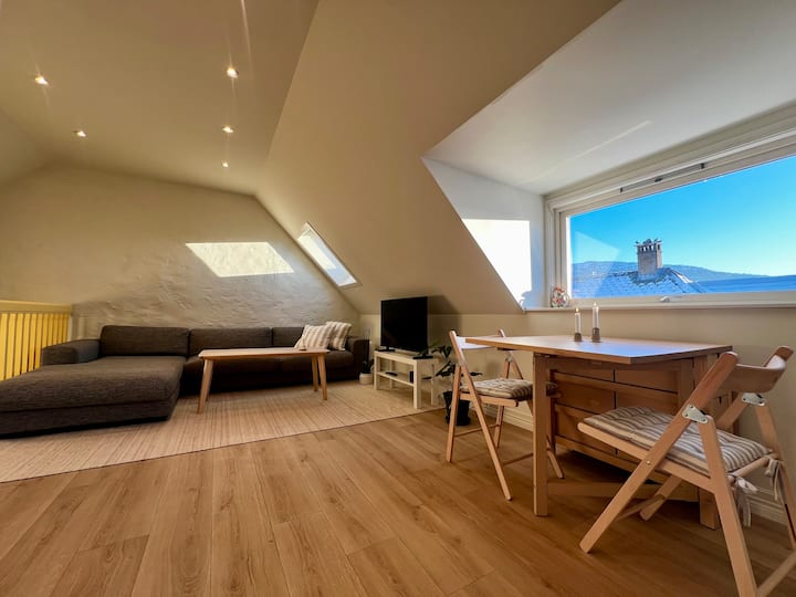 Toppleilighet Med Flott Utsikt På Kronstad - Bergen, Norway