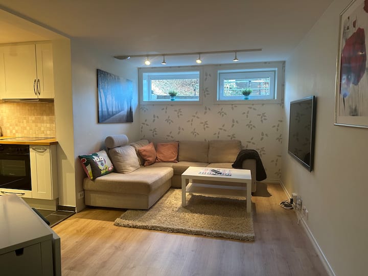 Koselig 3-roms Leilighet Nært Dyreparken - Kristiansand