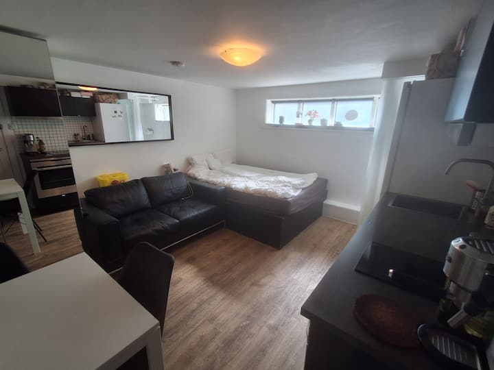 Nice Little Studio In Center Of Downtown. - Reykjavik