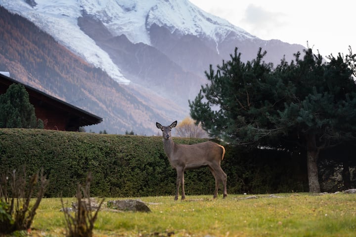 Chalet La Pagode - Les Houches