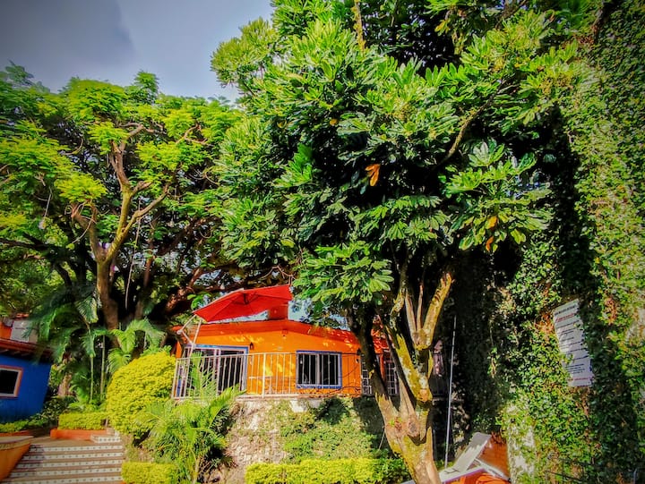 Habitación Privada En El Centro De Cuernavaca - Cuernavaca