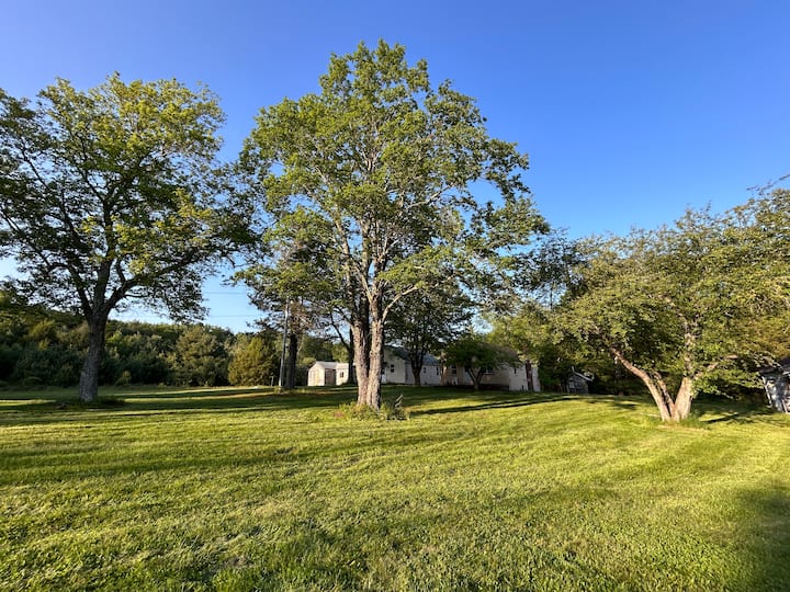 Catskills Cabin 1b1b W/private Yard By Ur Pond - Rock Hill, NY