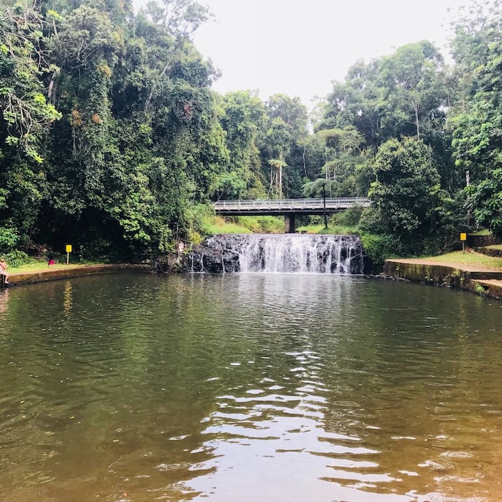 Malanda Falls Retreat
Waterfall Across The Road - Malanda