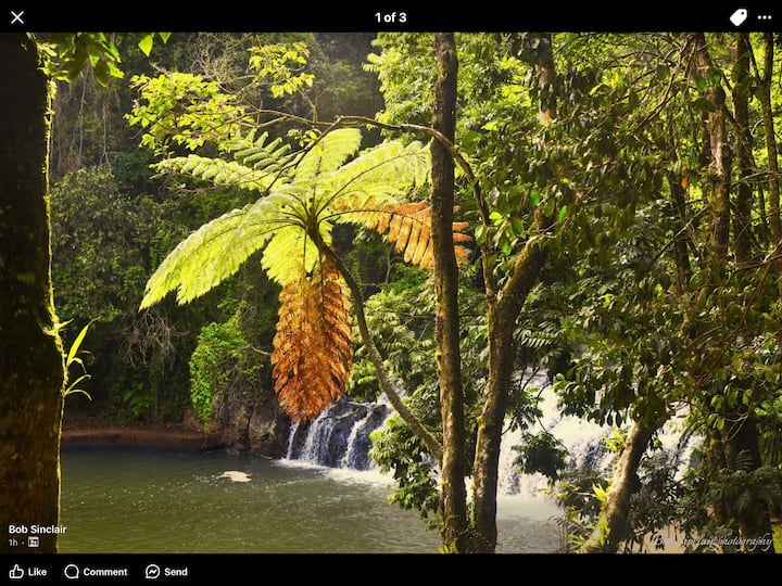 Malanda Falls Retreat - Malanda