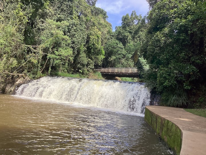 Malanda Falls Retreat
Waterfall Across The Road - Malanda