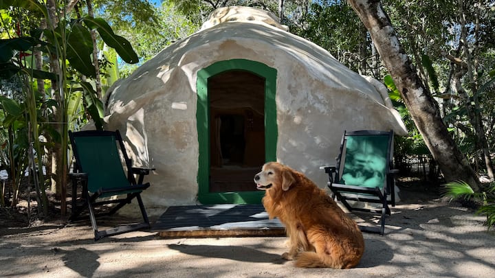 Dabaianabahia - Bahía