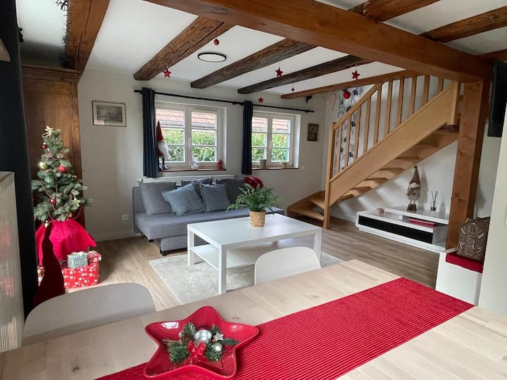 Gite : Un Jour à Strasbourg. - Strasbourg