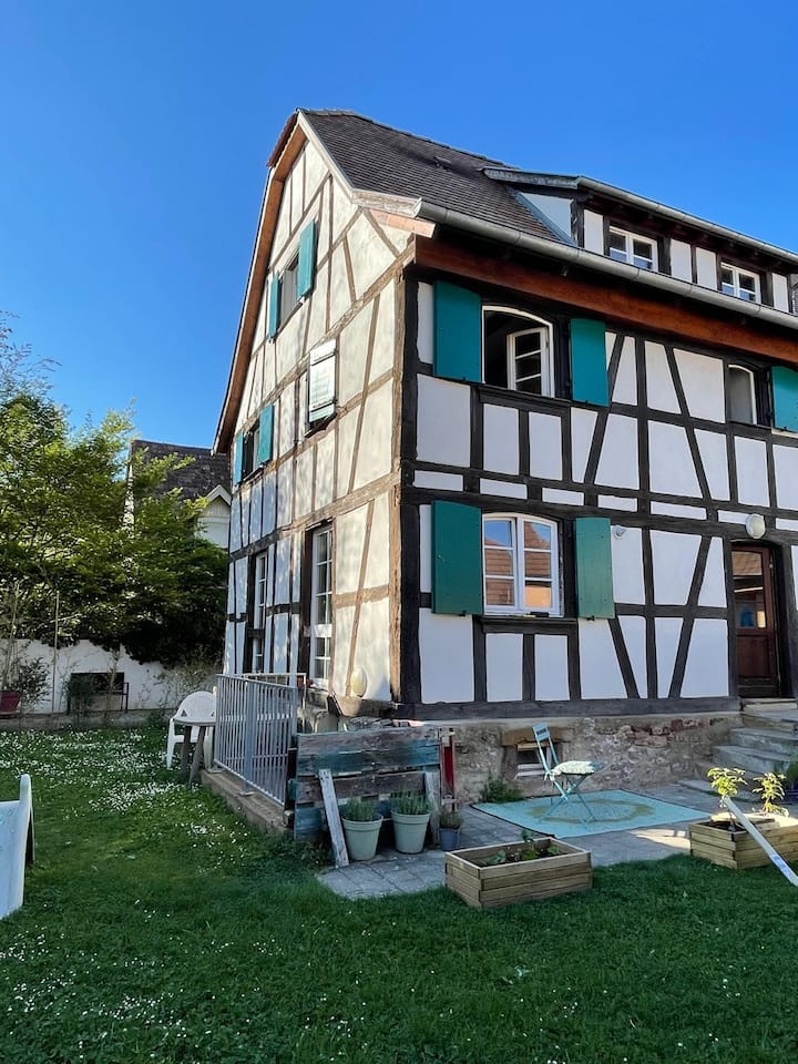 Gite : Un Jour à Strasbourg. - Strassburg