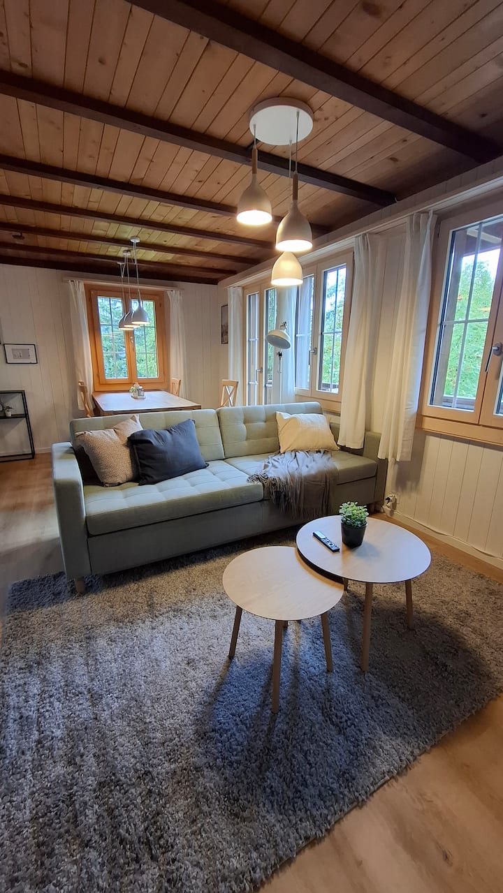 Mountain Loft – Where Design Meets Nature - Brienz