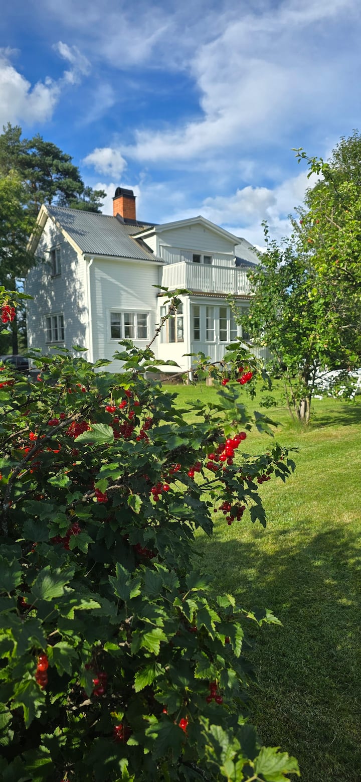Beautiful Countryside Villa In The Heart Of Sweden - Vansbro