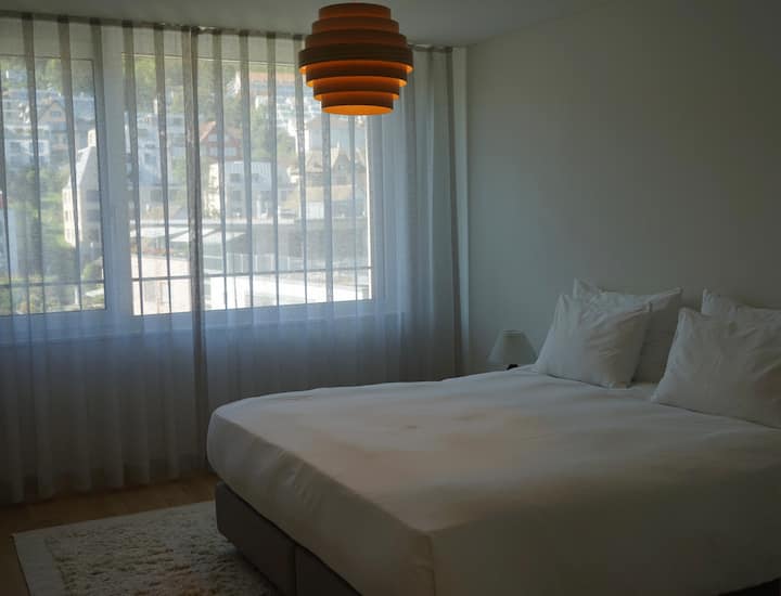 Zurich | Horgen Apartment Balcony | 508 - Erlenbach