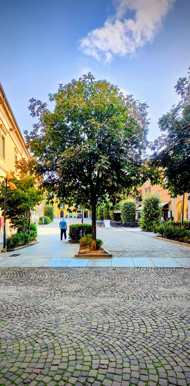 Cavour19 - Alba | Central & Cozy Apartment - Alba