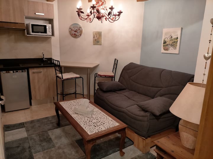 Appartement Sous Les Toits - Saint-Julien-en-Genevois